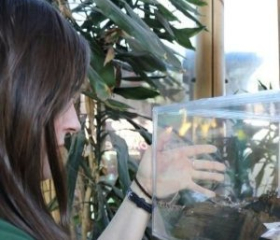 Visit Us | National Museum of the Royal Navy